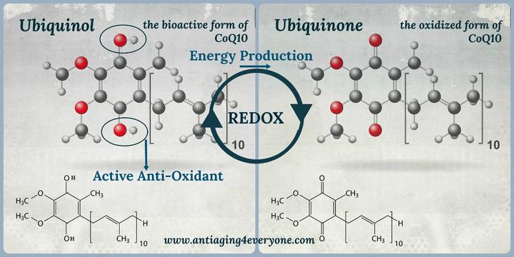 还原型辅酶Q10比氧化型吸收度高8倍，是真的吗？ - 知乎
