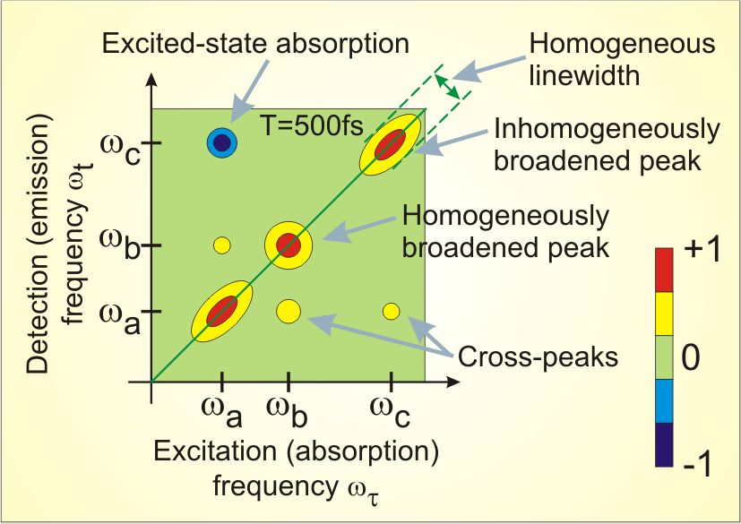 二维电子光谱（2DES）分析从未如此简单 - 知乎