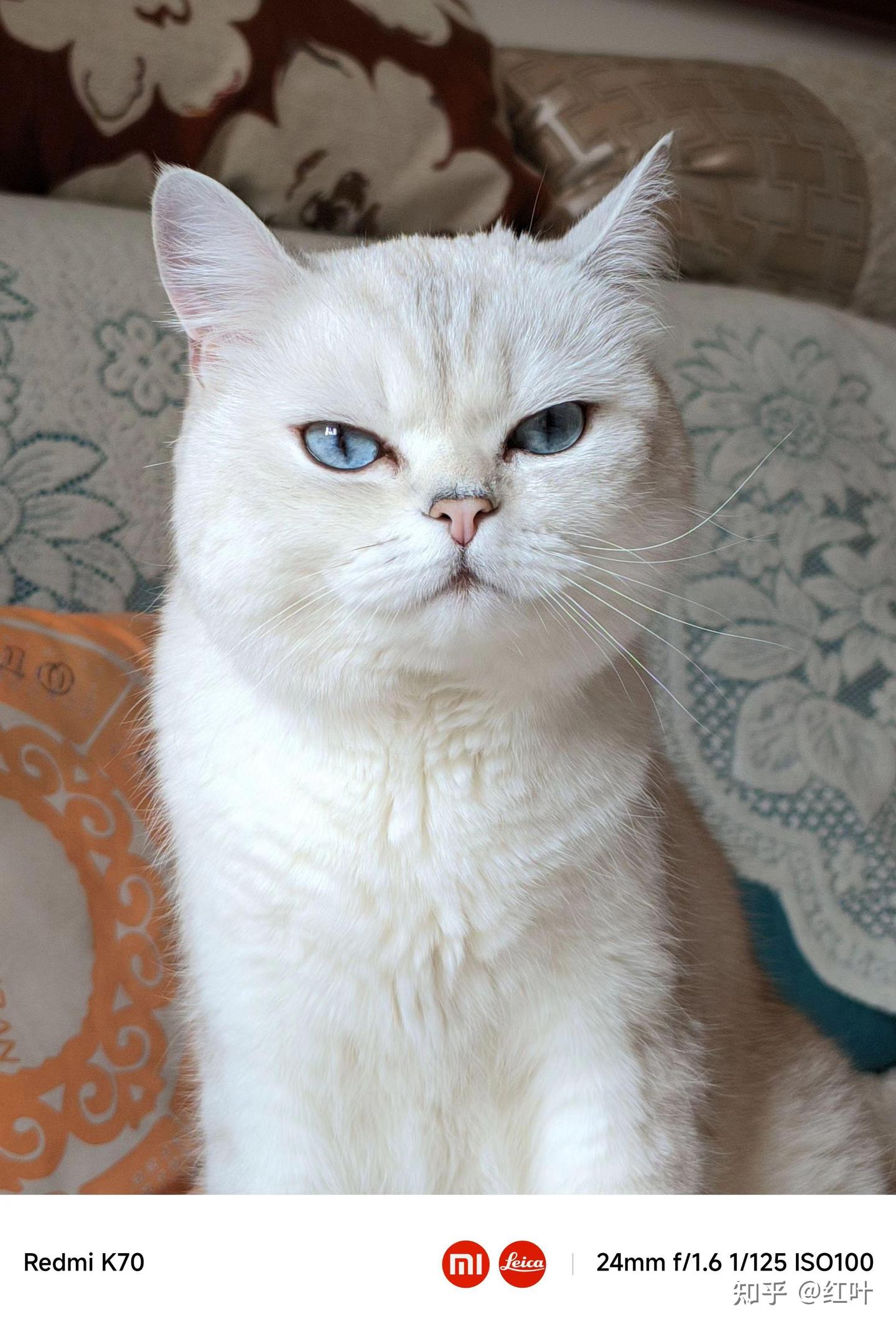 2000元预算，买（Redmi Turbo3、K70e、K70、K60 至尊版）哪一个？ - 知乎