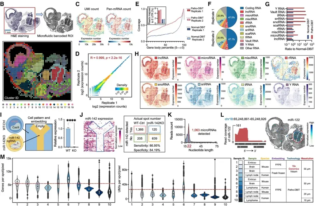 历史样本再焕新生：Patho-DBiT让你对临床FFPE样本进行前所未有的单细胞分辨率空间全类型RNA分子检测 - 知乎