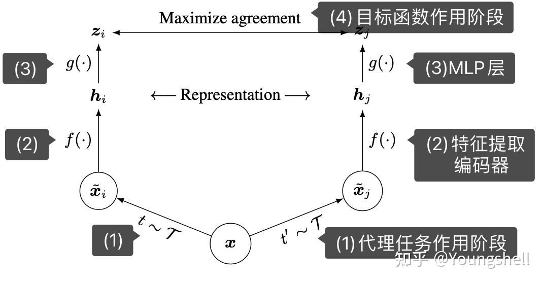 对比学习（Contrastive Learning），必知必会 - 知乎