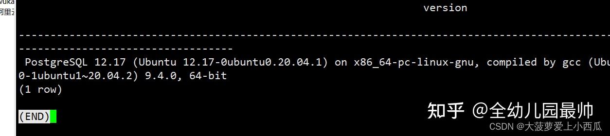 Ubuntu20安装postgres12以及配置远程连接 - 知乎