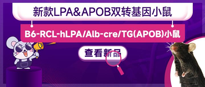 新款LPA&APOB双转基因小鼠：Lp(a)＞500 nmol/L，ApoB＞100 mg/dL，LDL-C升高5倍 - 知乎
