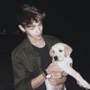 ICLR2016：High-Dimensional Continuous Control Using Generalized Advantage Estimation - 知乎