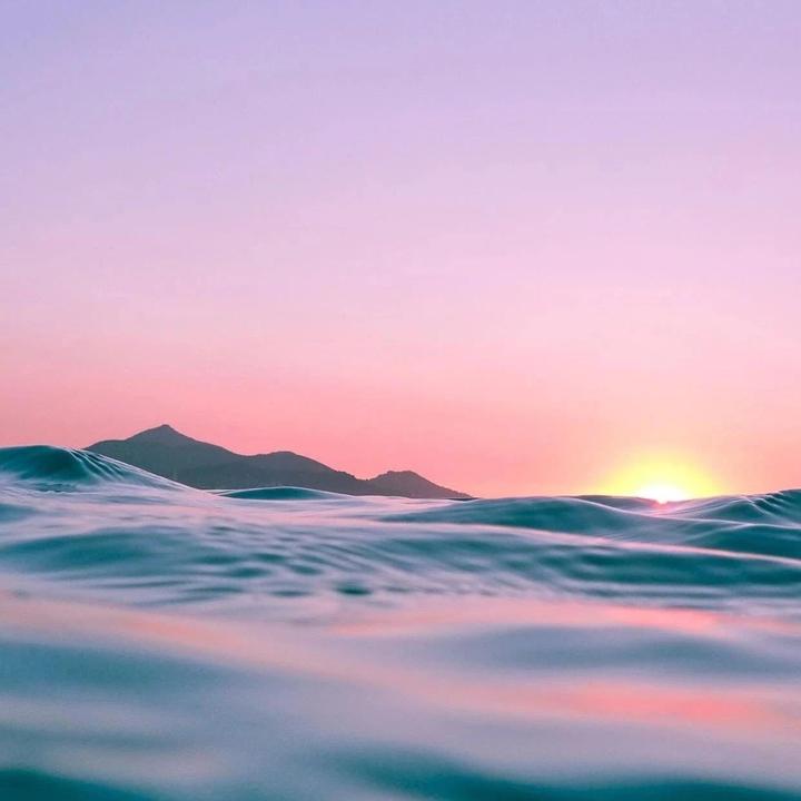 Element-Plus组件笔记（上） - 知乎