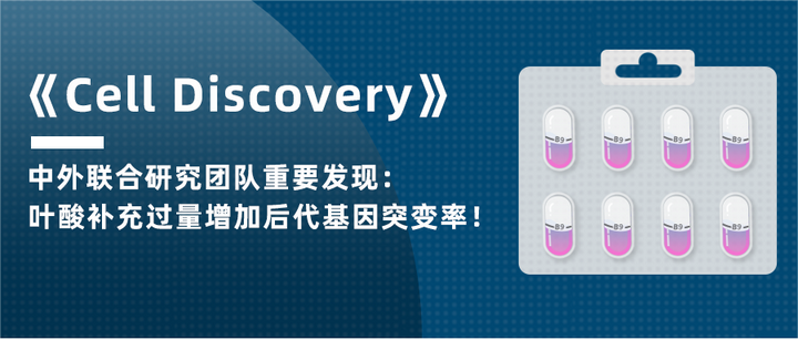 《Cell Discovery》中外联合研究团队重要发现：叶酸补充过量增加后代基因突变率！ - 知乎