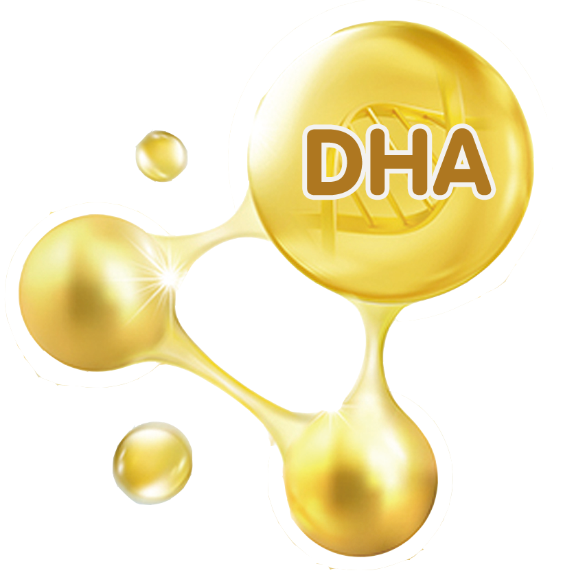 DHA对于宝宝来说重要吗，哪些奶粉有DHA？ - 知乎