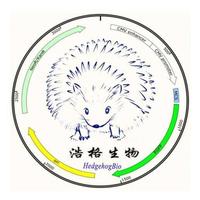 pJOE8999枯草芽孢杆菌CRISPR-Cas9系统基因编辑载体 - 知乎