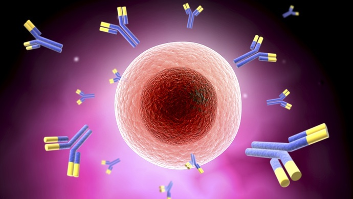 Nat Immu | m6A阅读蛋白协调肿瘤相关巨噬细胞的重编程，控制抗肿瘤免疫力 - 知乎