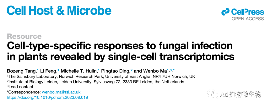 Cell Host & Microbe | 研究揭示植物细胞对病原体的反应各不相同！ - 知乎