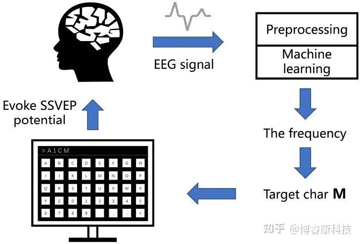 无训练稳态视觉诱发电位（SSVEP）算法概述 - 知乎
