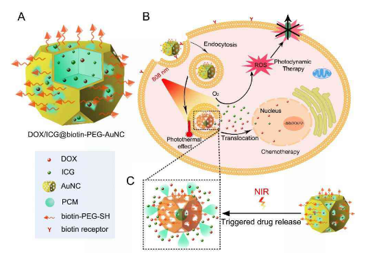 CY3.5单体 花氰染料CY3.5；Sulfo-Cy3.5 三甲川花菁染料CY3.5 - 知乎