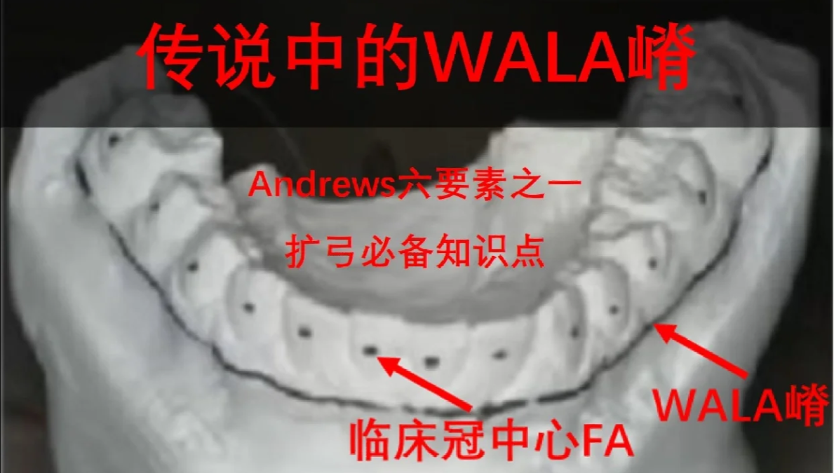 小红书《我在上海九院学正畸》笔记 - 知乎