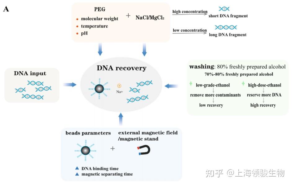片段分选的基本策略及其应用 - 知乎