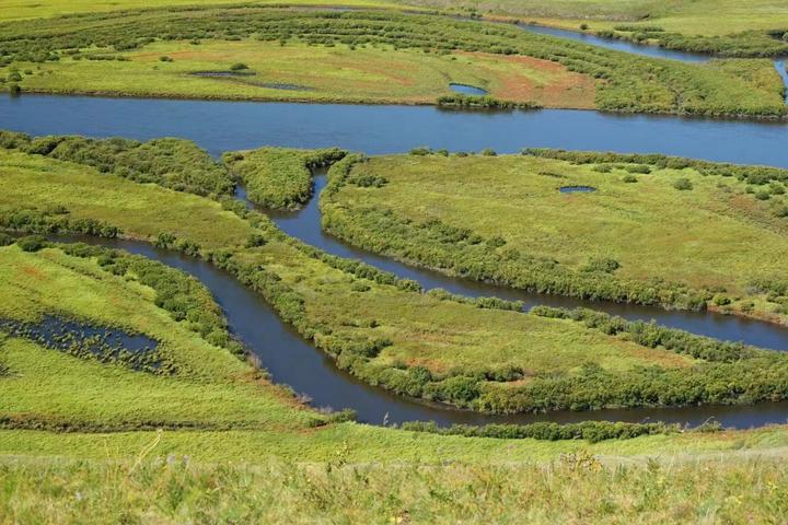 Imagic: 基于文本的真实图像编辑与扩散模型 - 知乎