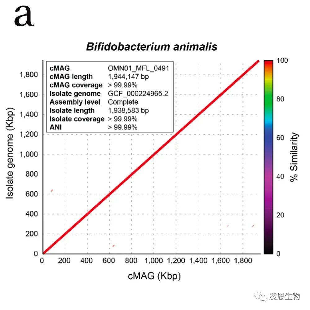 宏基因组组装新概念—cMAGs(完成图MAGs) - 知乎