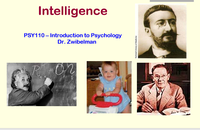 IQ是什么，怎么计算的(Rate IQ) - 知乎