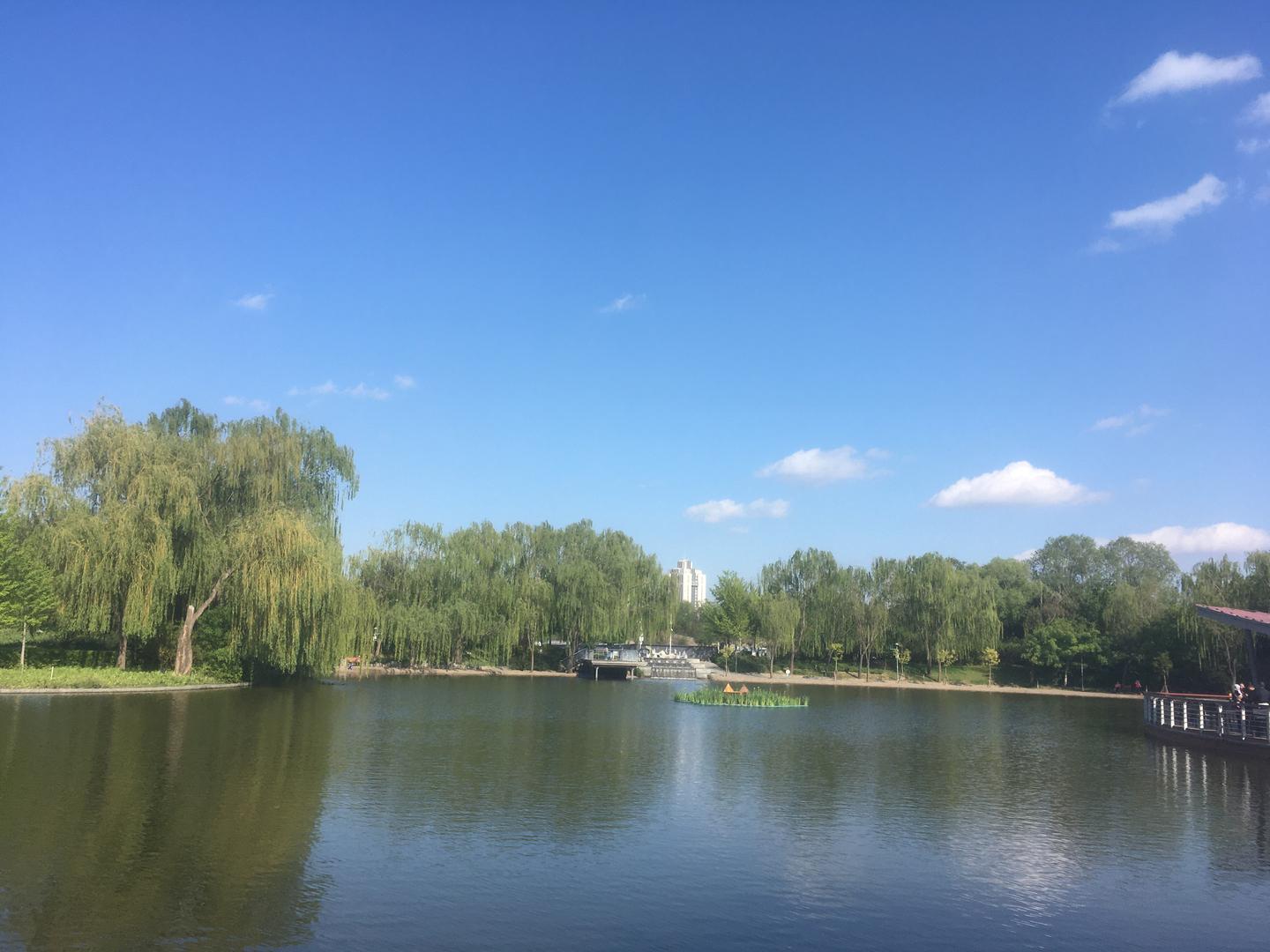 cmake：message 命令常用方式 - 知乎