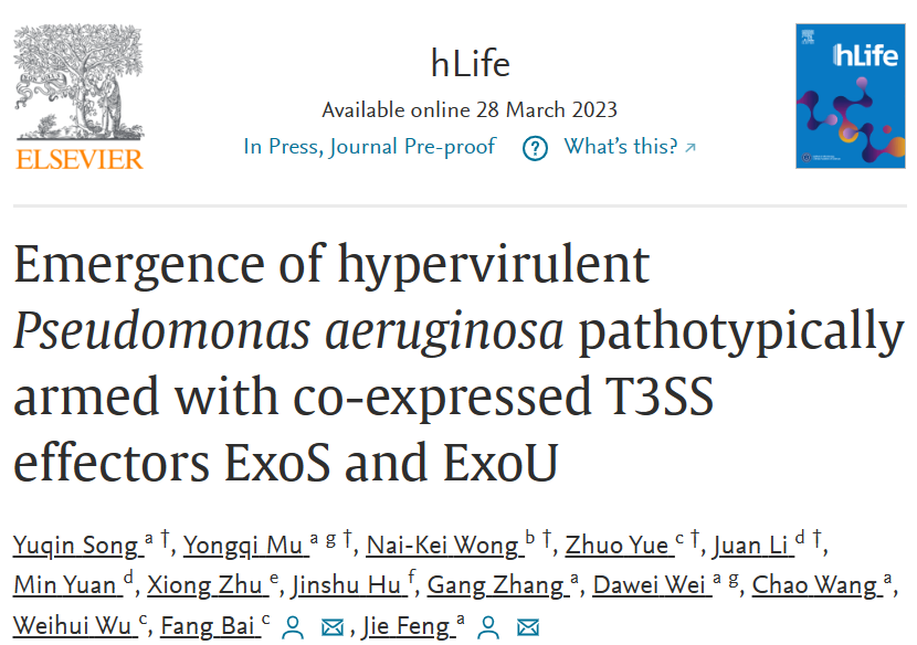 hLife Article | 高毒铜绿假单胞菌的加强版“装备”：共表达同分泌效应蛋白ExoS和ExoU的III型分泌系统 - 知乎