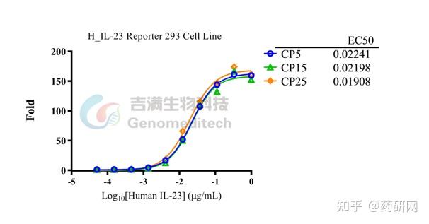 IL-23的“双重使命”：从自身免疫疾病到肿瘤治疗的演变 - 知乎