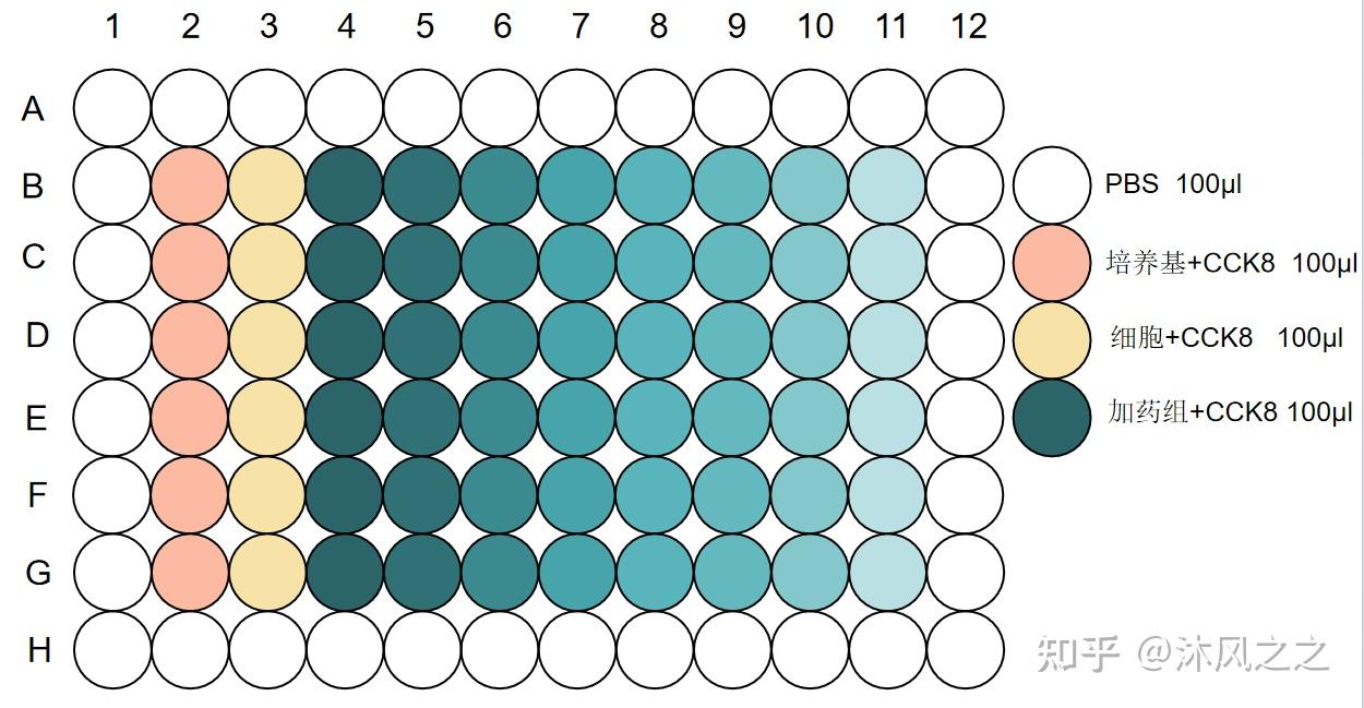 CCK8实验原理及步骤 - 知乎
