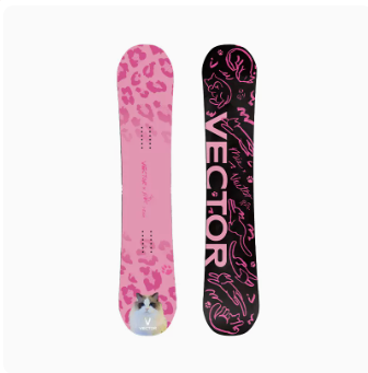 新手如何挑选单板？单板选购最全攻略！ - 知乎