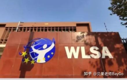 今年秋招，上海WLSA凭什么成今年秋招顶流！ - 知乎