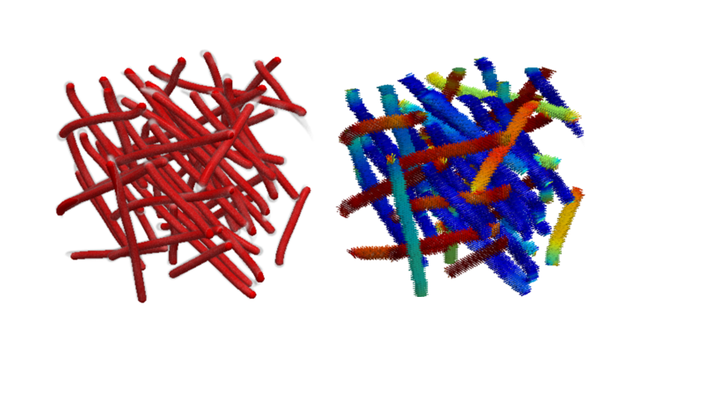 【Simpleware】教程：纤维分析 - 知乎