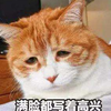 执行pip install 报错ERROR: Cannot unpack file C:\Users\Administrator\AppData\Local\Temp\pip-unpack ...