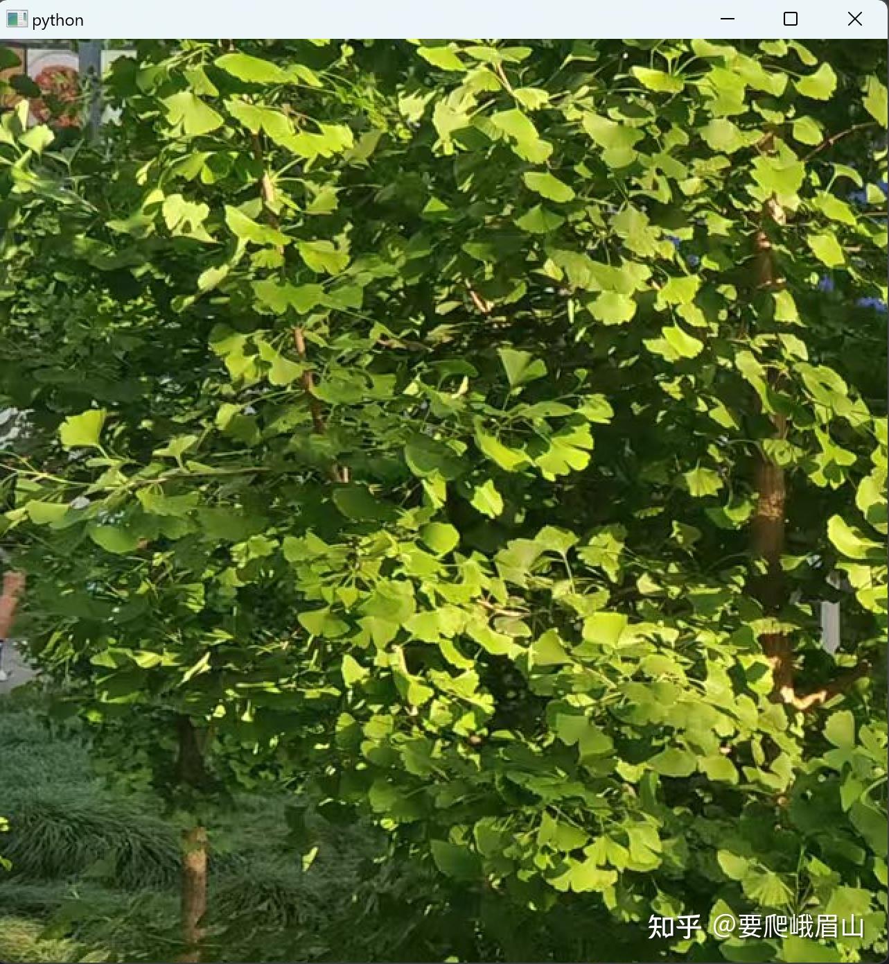 Qt（python的PySide）学习 - 知乎