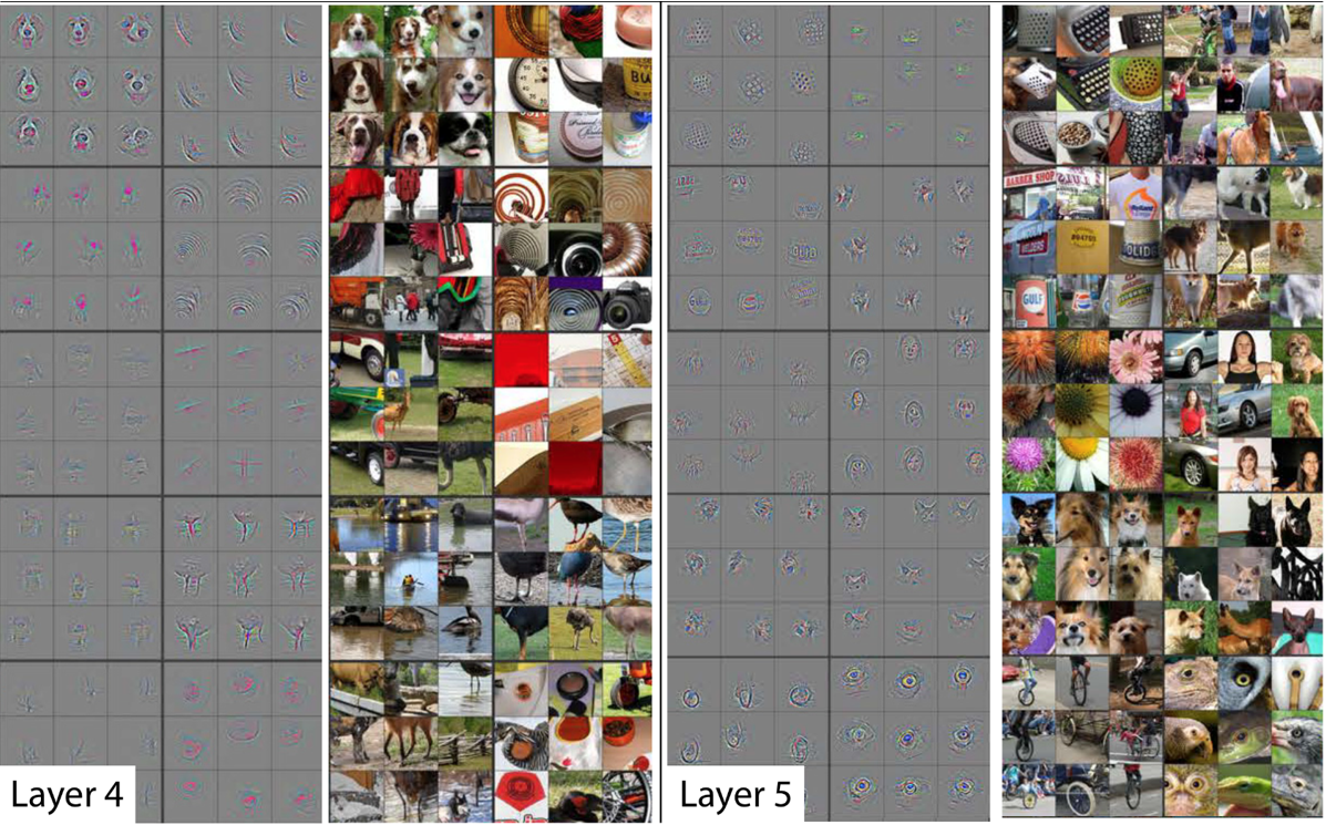 Deep Visualization:可视化并理解CNN - 知乎
