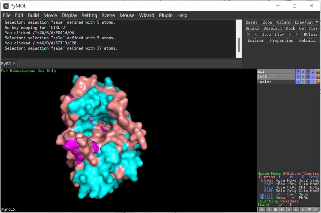 PyMOL必备绘图技巧，从此游刃有余！ - 知乎
