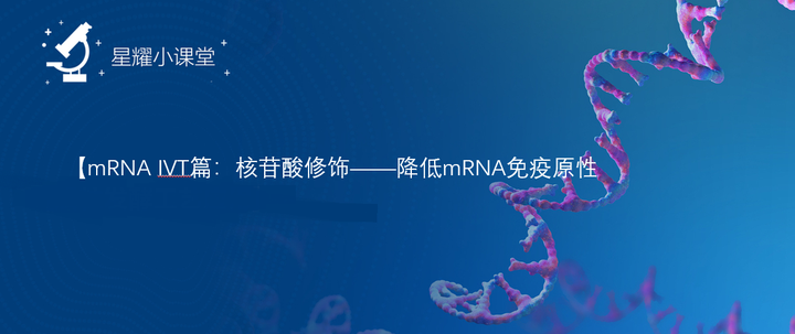 【星耀小课堂】mRNA IVT篇：核苷酸修饰——降低mRNA免疫原性 - 知乎