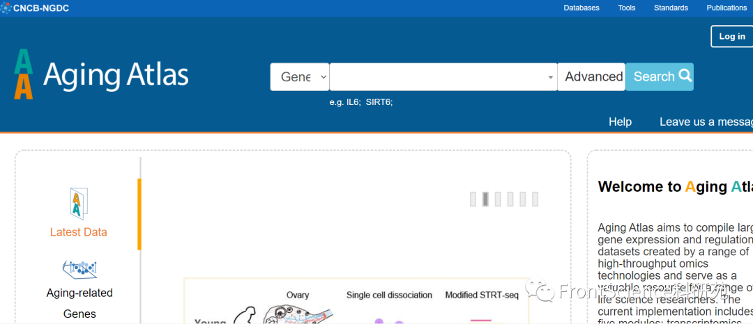 衰老相关数据库 - 知乎
