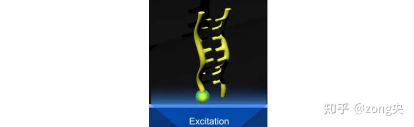 一文读懂多种超分辨成像方式（STED、STORM、PALM、PAINT、MINFLUX）的基本原理 - 知乎