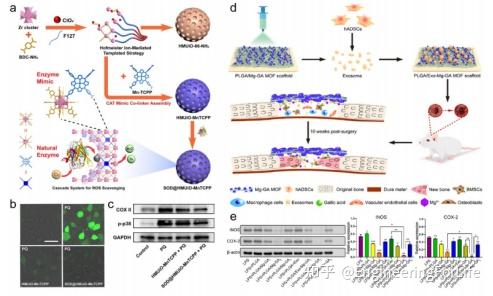 《Adv. Mater》综述：金属有机框架与聚合物的相遇 - 知乎