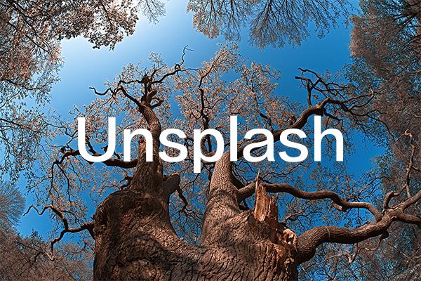 Unsplash 可以免费下载和使用的海量精美图片平台 - 知乎