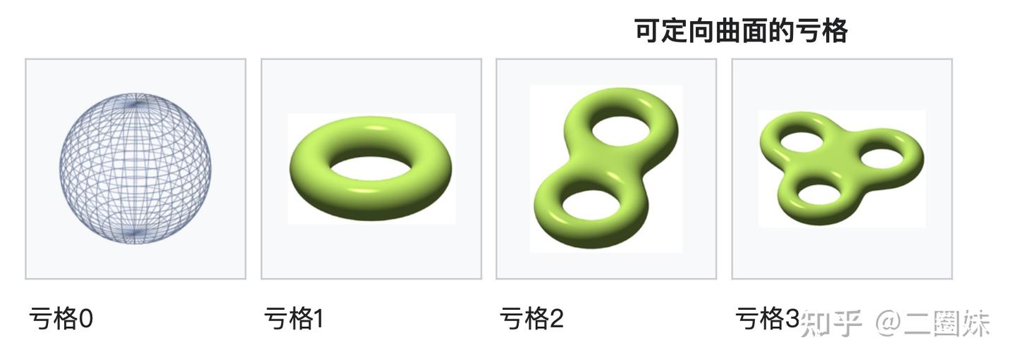 Euler characteristic, genus 与 manifold，watertight - 知乎