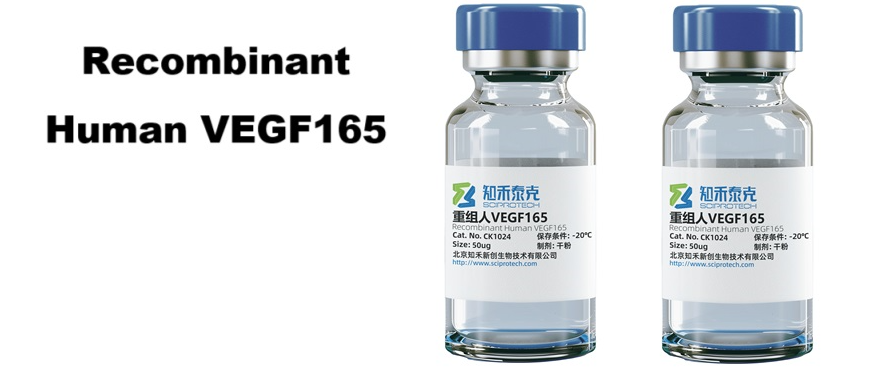血管内皮生长因子 VEGF165 | 新闻详情_知禾泰克——重组人白蛋白供应商