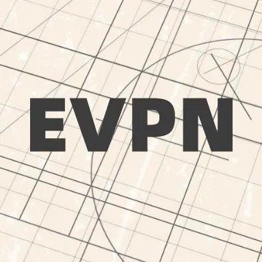 读透，什么是 EVPN ？ - 知乎