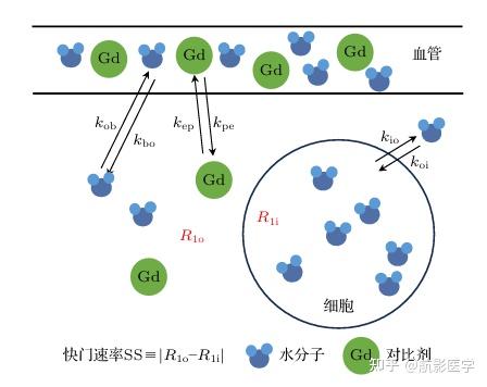 DCE-MRI (Dynamic Contrast-Enhanced Magnetic Resonance Imaging ) 动态对比增强磁 ...
