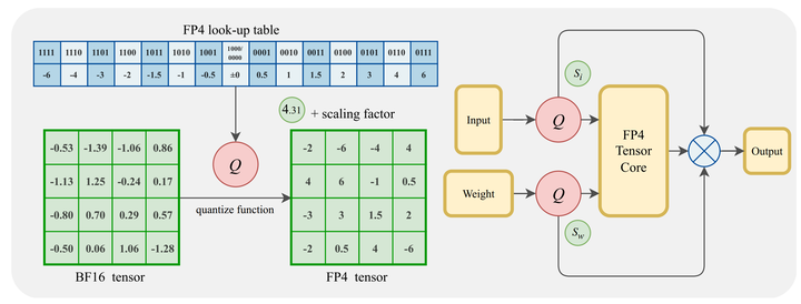 万字解析FP4训练大语言模型：Optimizing Large Language Model Training Using FP4 Quantization 论文分享 - 知乎