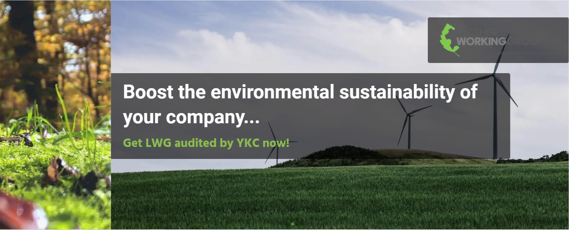 LWG认证审核员，LWG认证是分类审核进行 - 知乎