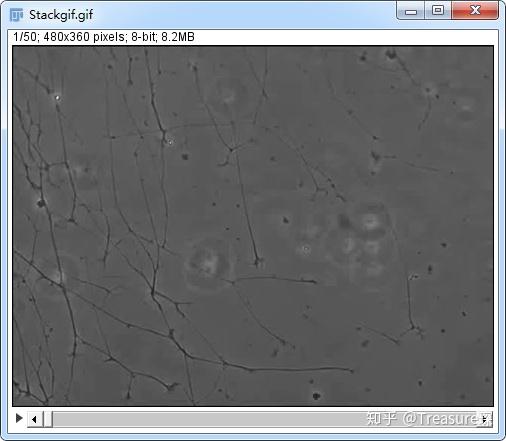 ImageJ实用技巧——图片序列转GIF和视频(基本功能篇) - 知乎