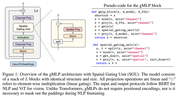 细读好文 之 gMLP：Pay Attention to MLPs - 知乎