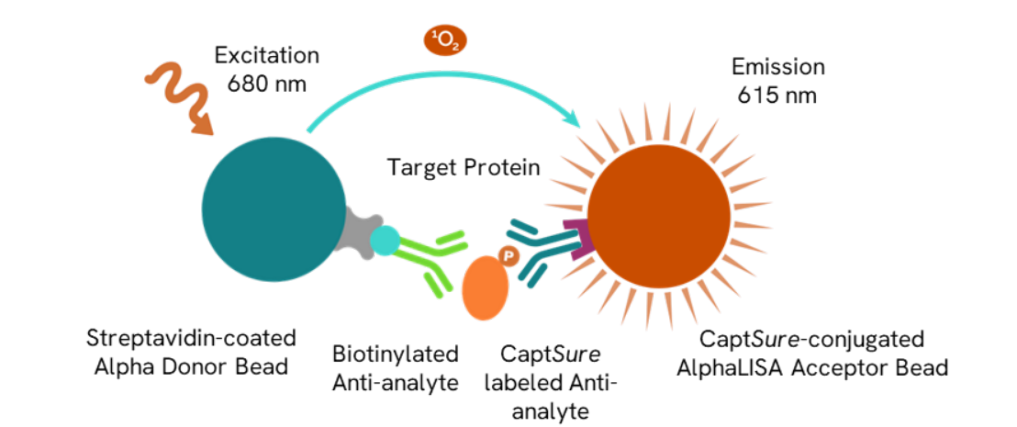 瑞孚迪 AlphaLISA 技术重磅升级！全新Biotin-Free版本消除_化工仪器网