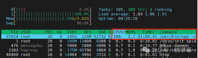 Docker + VPP强强联合：在Docker容器中玩转高性能VPP路由！ - 知乎