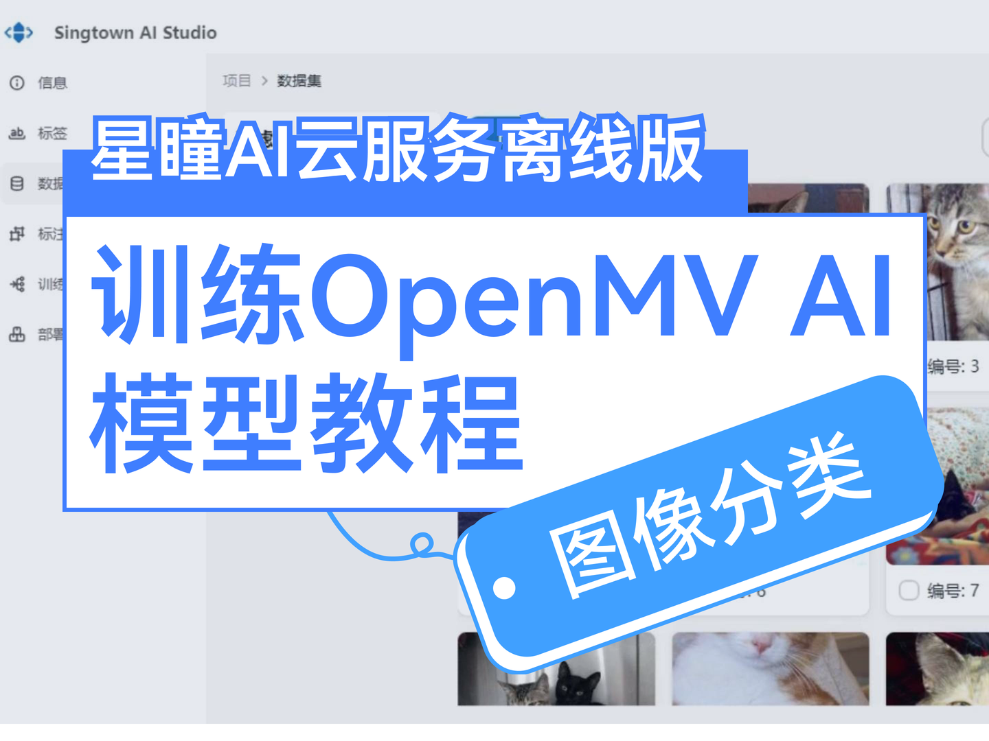 【星瞳AI云服务离线版】一分钟学会训练OpenMV AI模型-图像分类 - 知乎