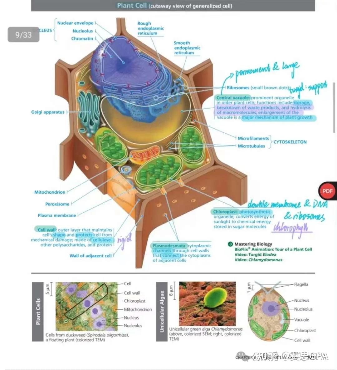 AP生物真爱粉们看过来：《APer备考宝典》解决所有生物重难点！ - 知乎