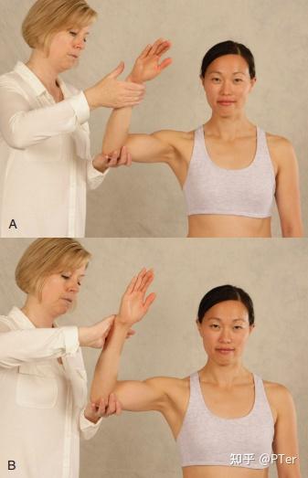 肩关节 | 体格检查之特殊试验（三） - 知乎